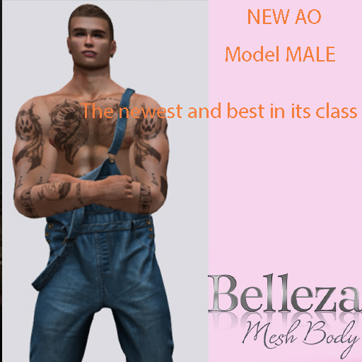 Second Life Marketplace Model Male Ao